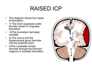 Examination Of The Comatose Patient | PPT