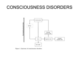 Examination Of The Comatose Patient | PPT