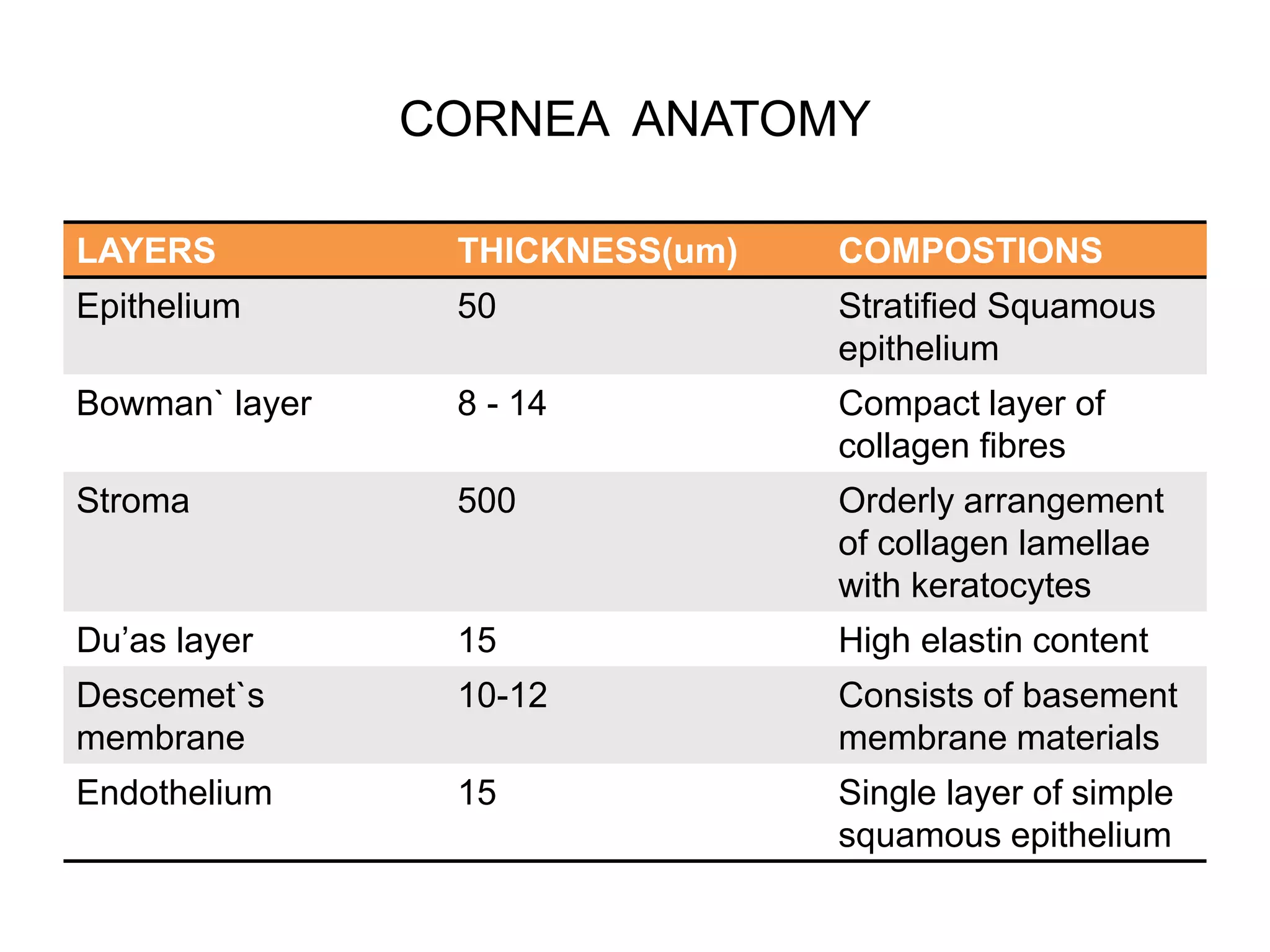 Examination of the cornea by Dr. Iddi Ndyabawe | PPTX