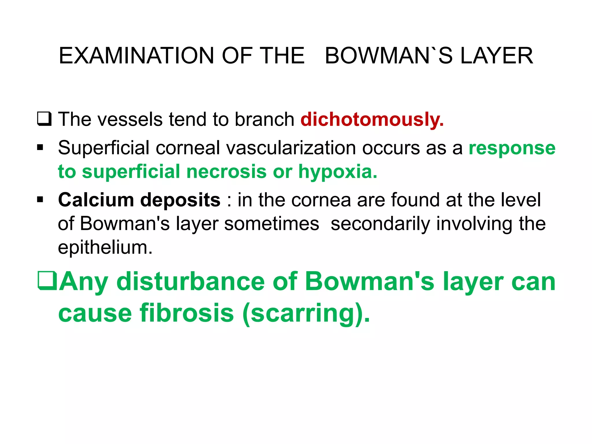 Examination of the cornea by Dr. Iddi Ndyabawe | PPTX