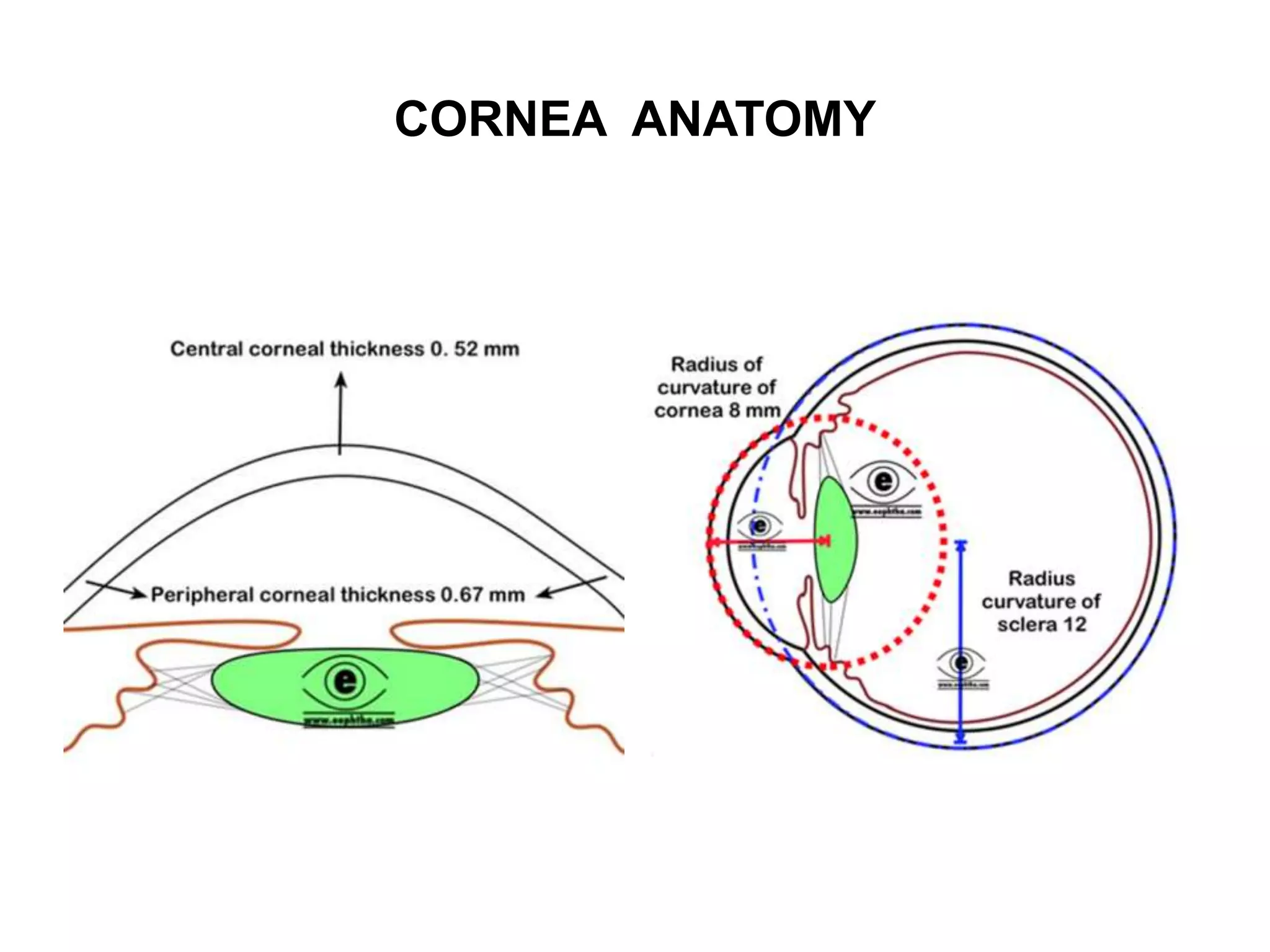 Examination of the cornea by Dr. Iddi Ndyabawe | PPTX