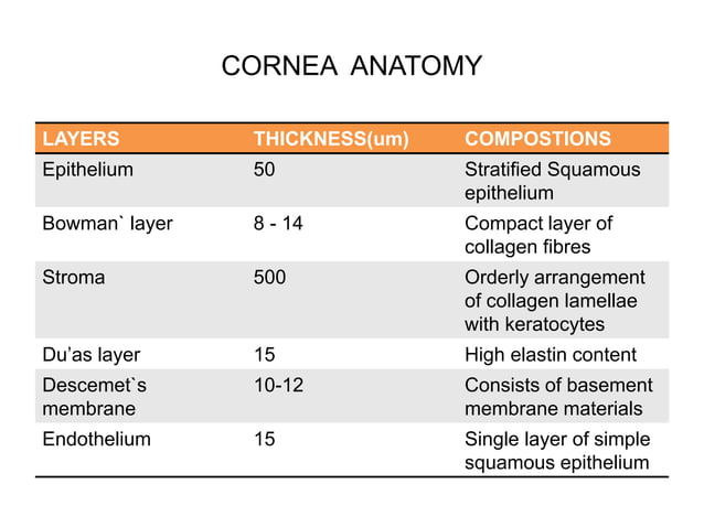 Examination of the cornea by Dr. Iddi Ndyabawe | PPTX