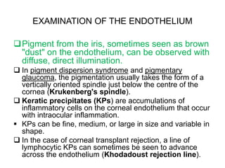 Examination of the cornea by Dr. Iddi Ndyabawe | PPTX