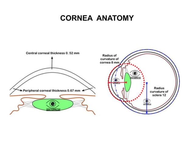 Examination of the cornea by Dr. Iddi Ndyabawe | PPTX