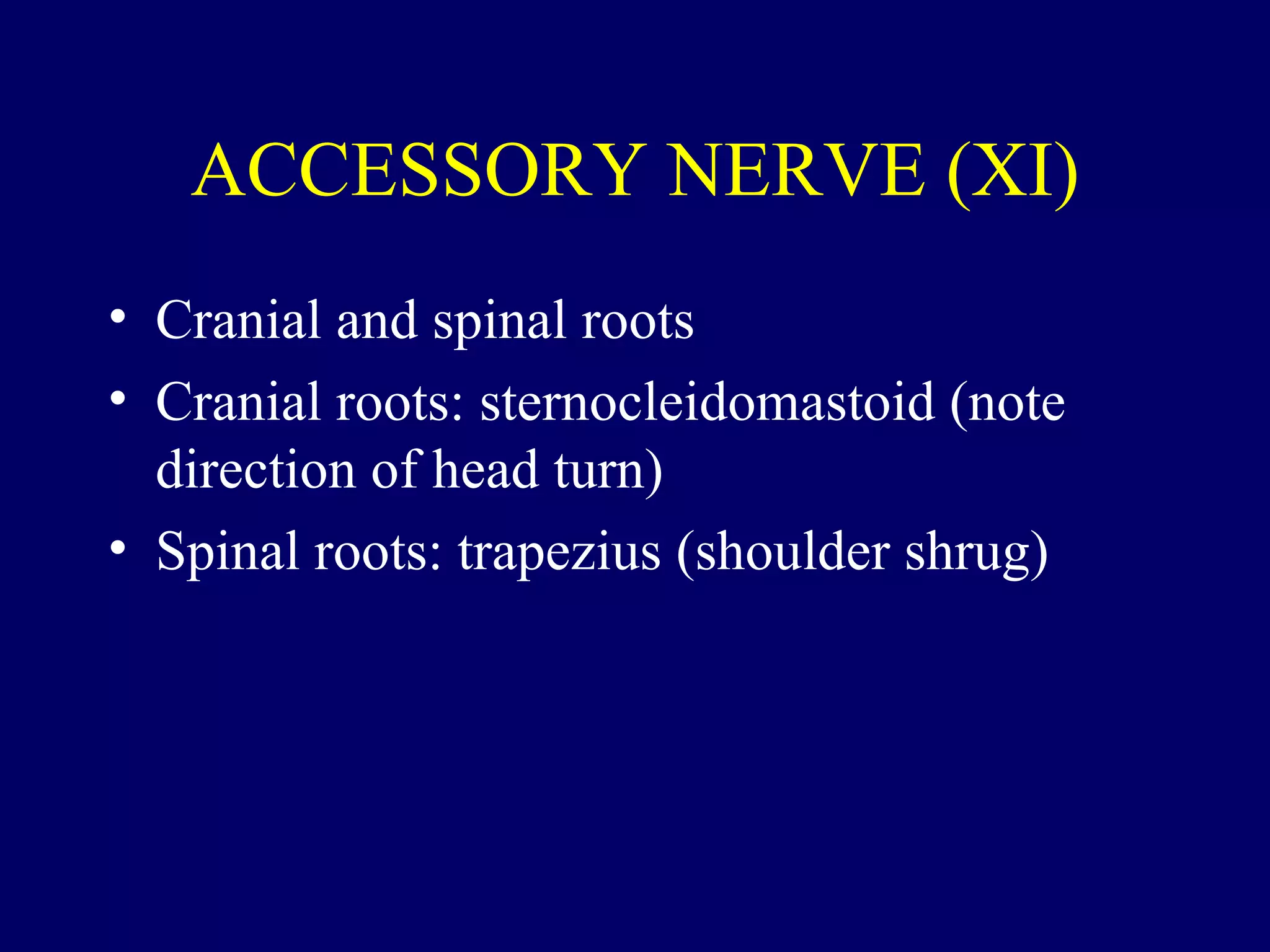 Examinationofthecranialnerves | PPT