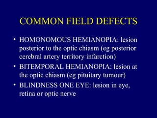 Examinationofthecranialnerves | PPT