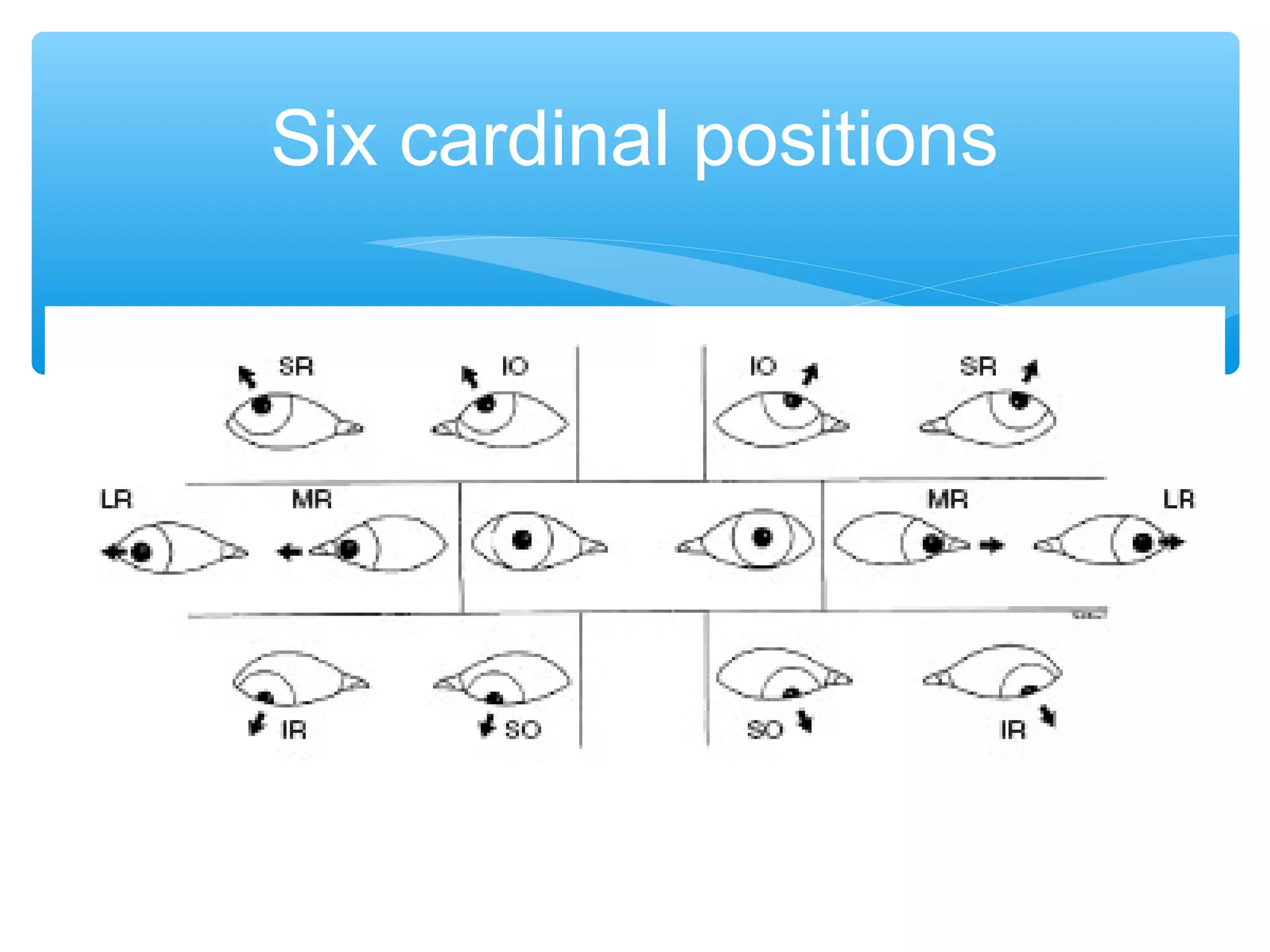 Cinical examination of the eye | PPT