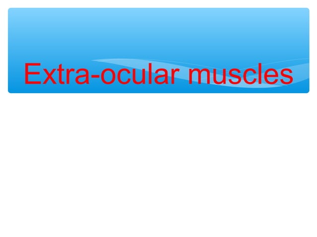 Cinical examination of the eye | PPT