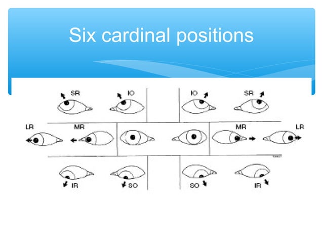 Cinical examination of the eye | PPT