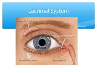 Cinical examination of the eye | PPT