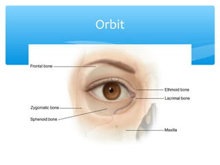 Cinical examination of the eye | PPT