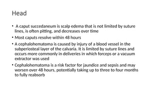 EXAMINATION OF THE NEWBORN- lecture.pptx
