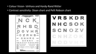 Examination of the optic nerve | PPTX