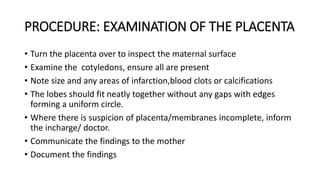 EXAMINATION OF THE PLACENTA.pptx