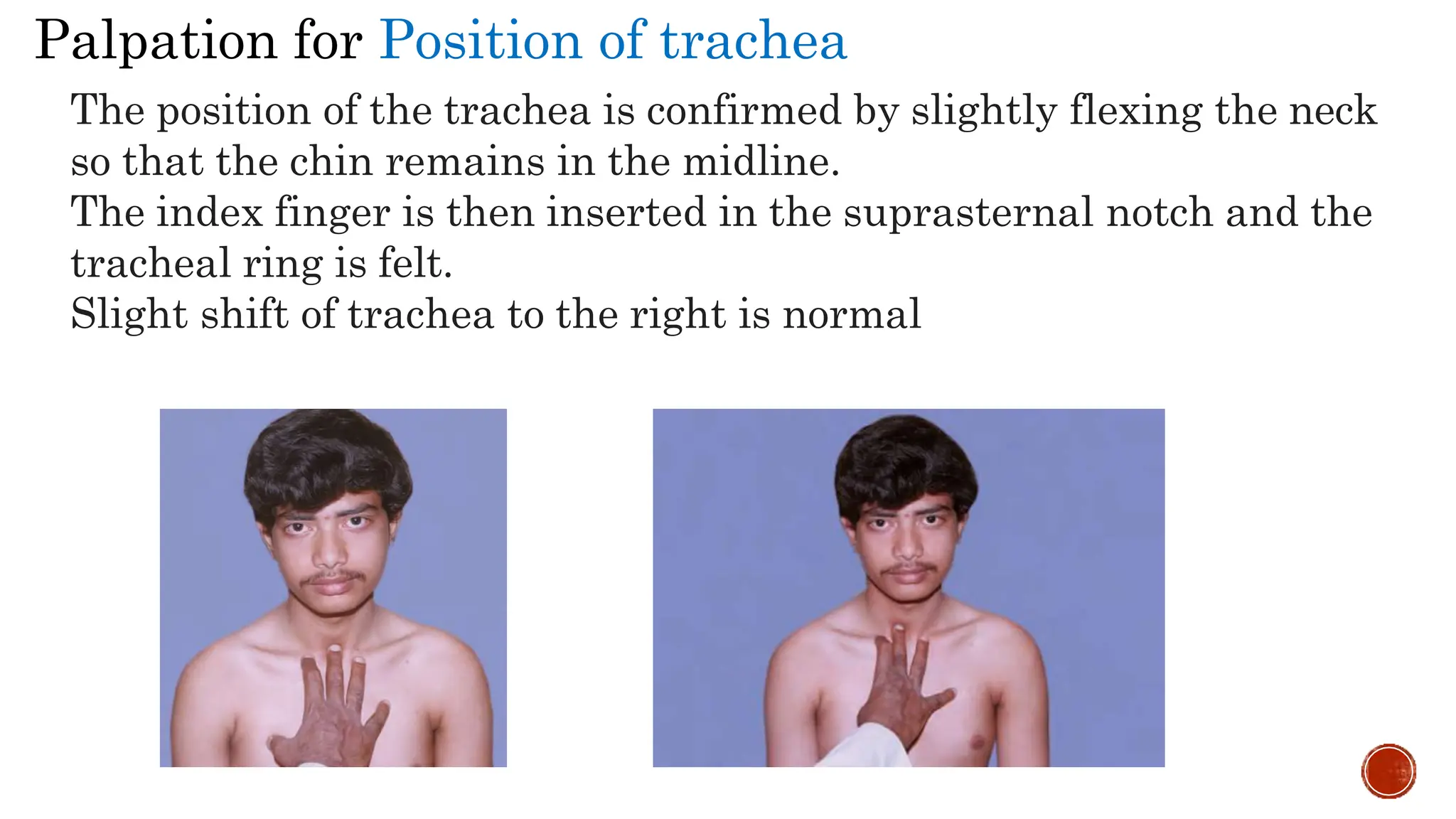 Examinating the Resipiratory System.pptx