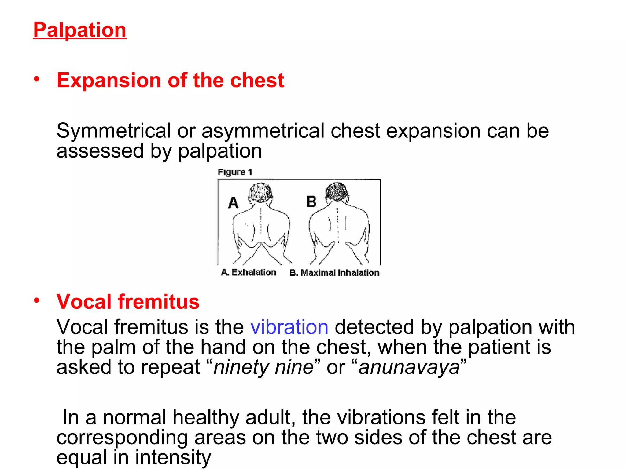 Examination of the respiratory system | PPT