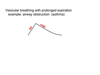 Examination of the respiratory system | PPT