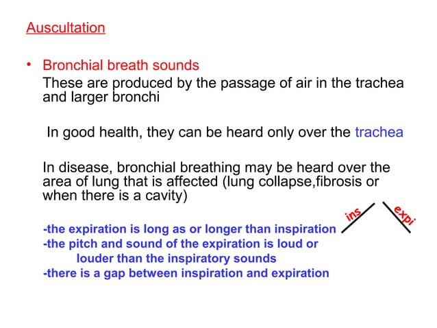 Examination of the respiratory system | PPT