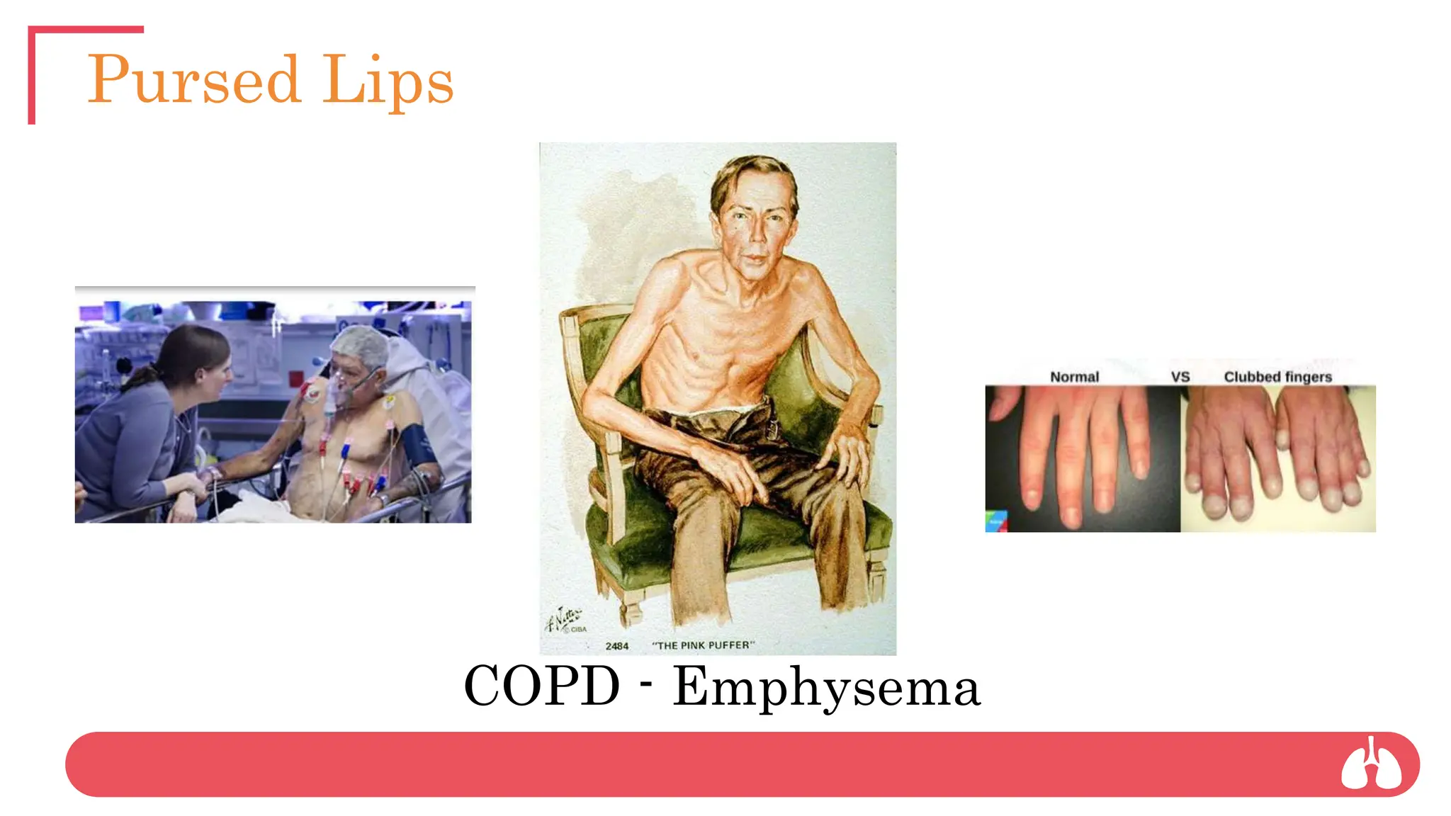 Examination of the Respiratory System_090438.pptx