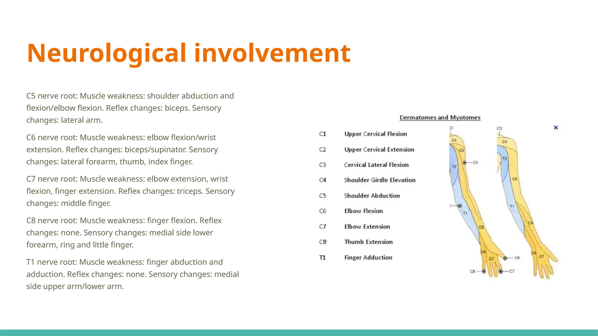 Examination of the Spine, lumps, bumps and ulcer 2.pptx