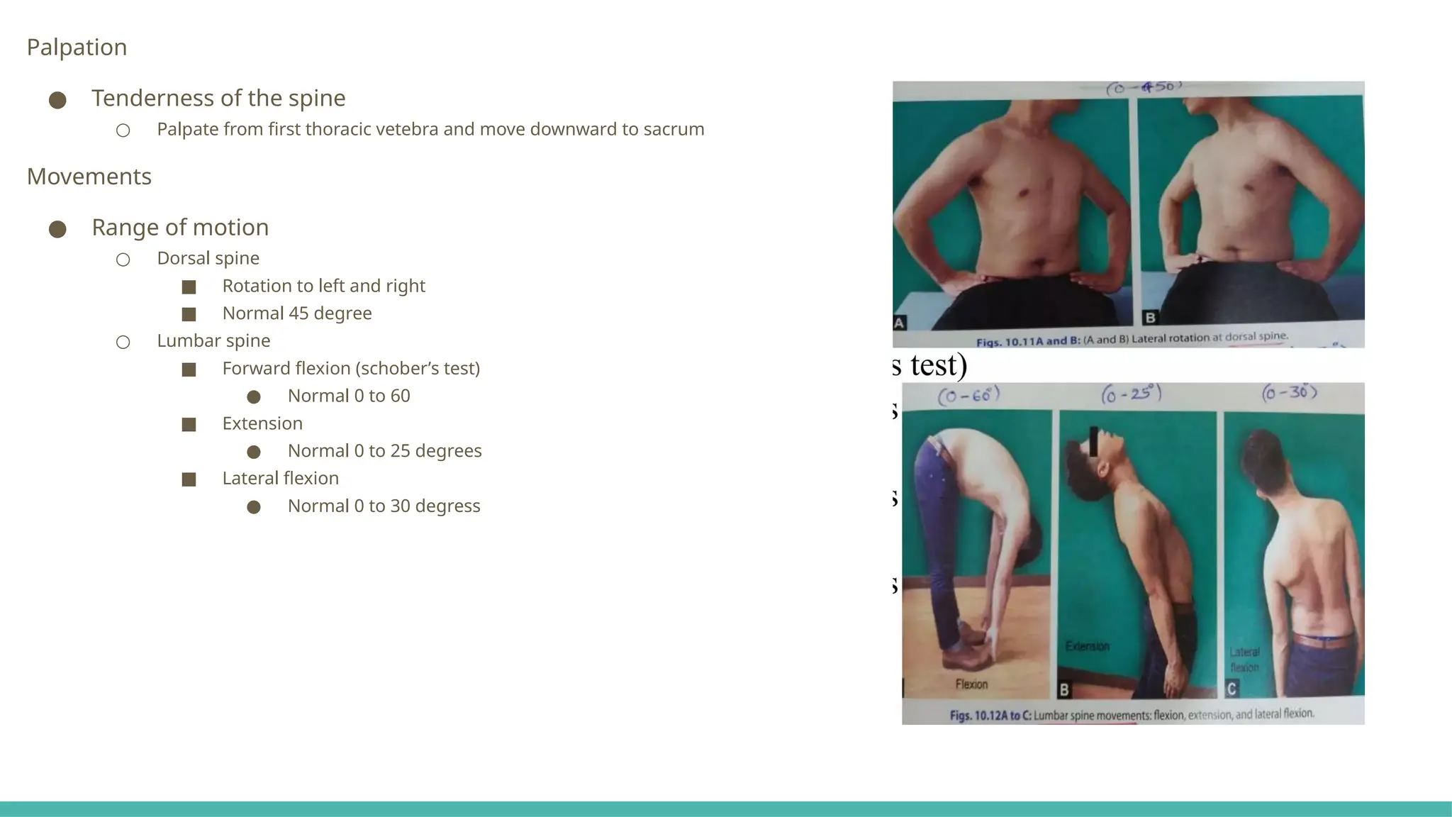Examination of the Spine, lumps, bumps and ulcer 2.pptx