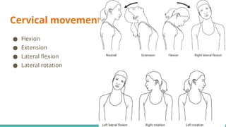 Examination of the Spine, lumps, bumps and ulcer 2.pptx