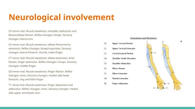 Examination of the Spine, lumps, bumps and ulcer 2.pptx