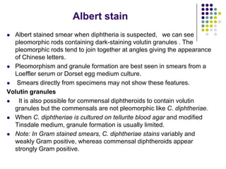 Examination of throat | PPTX