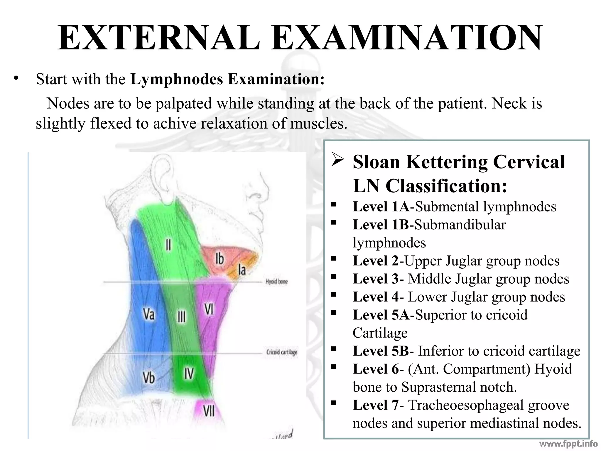 brief anatomy of larynx and its clinical evaluation | PPT