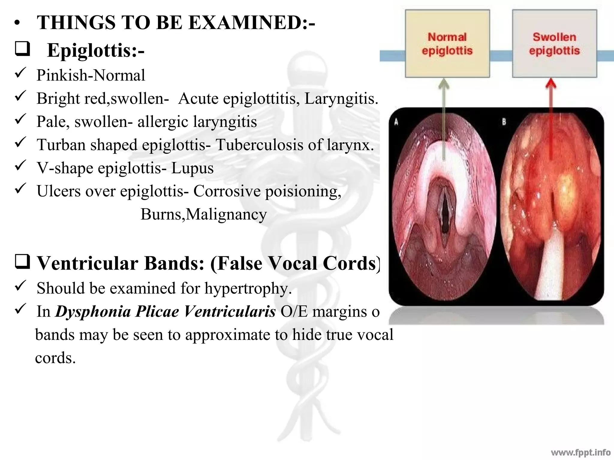 brief anatomy of larynx and its clinical evaluation | PPT