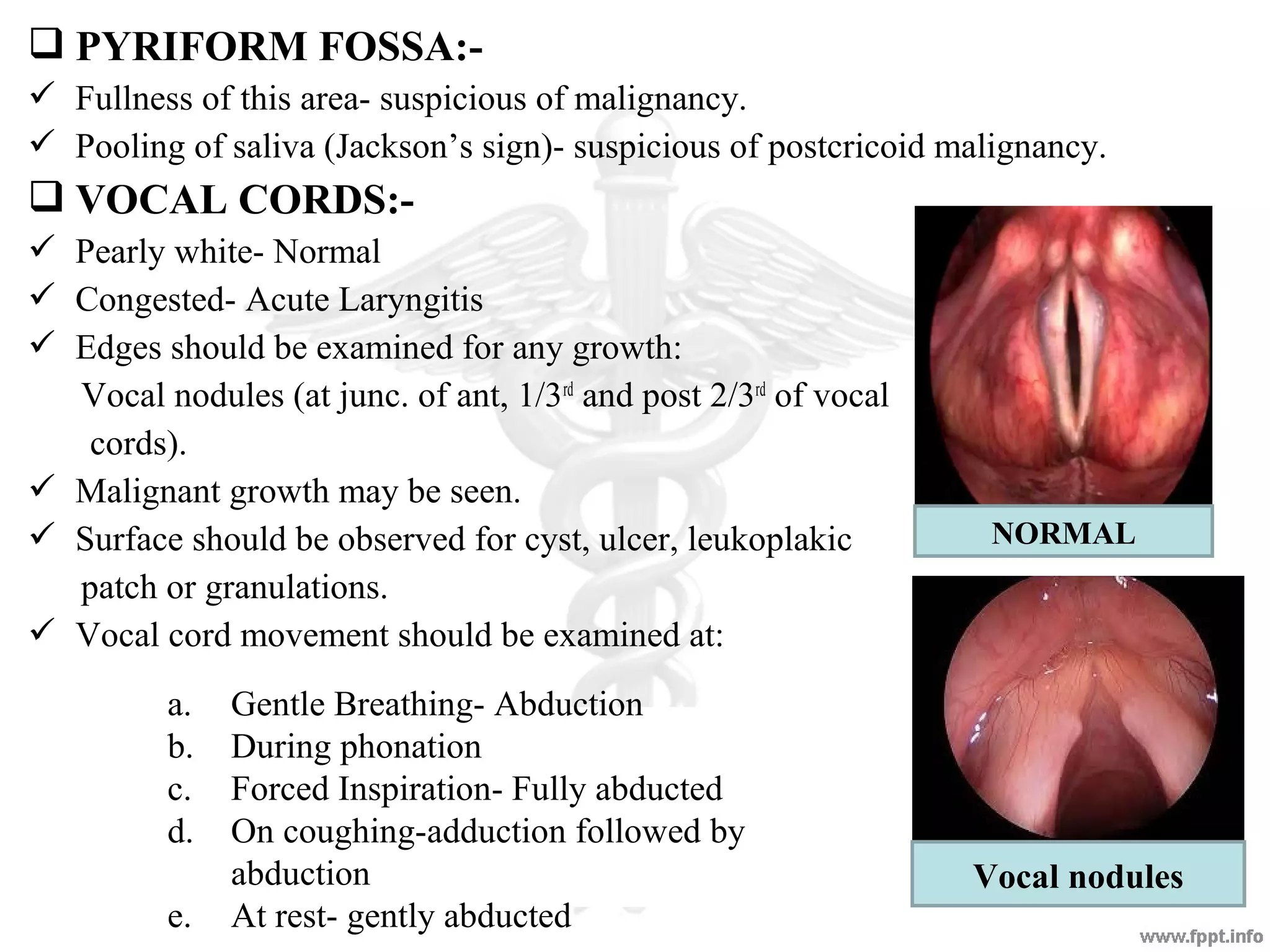 brief anatomy of larynx and its clinical evaluation | PPT