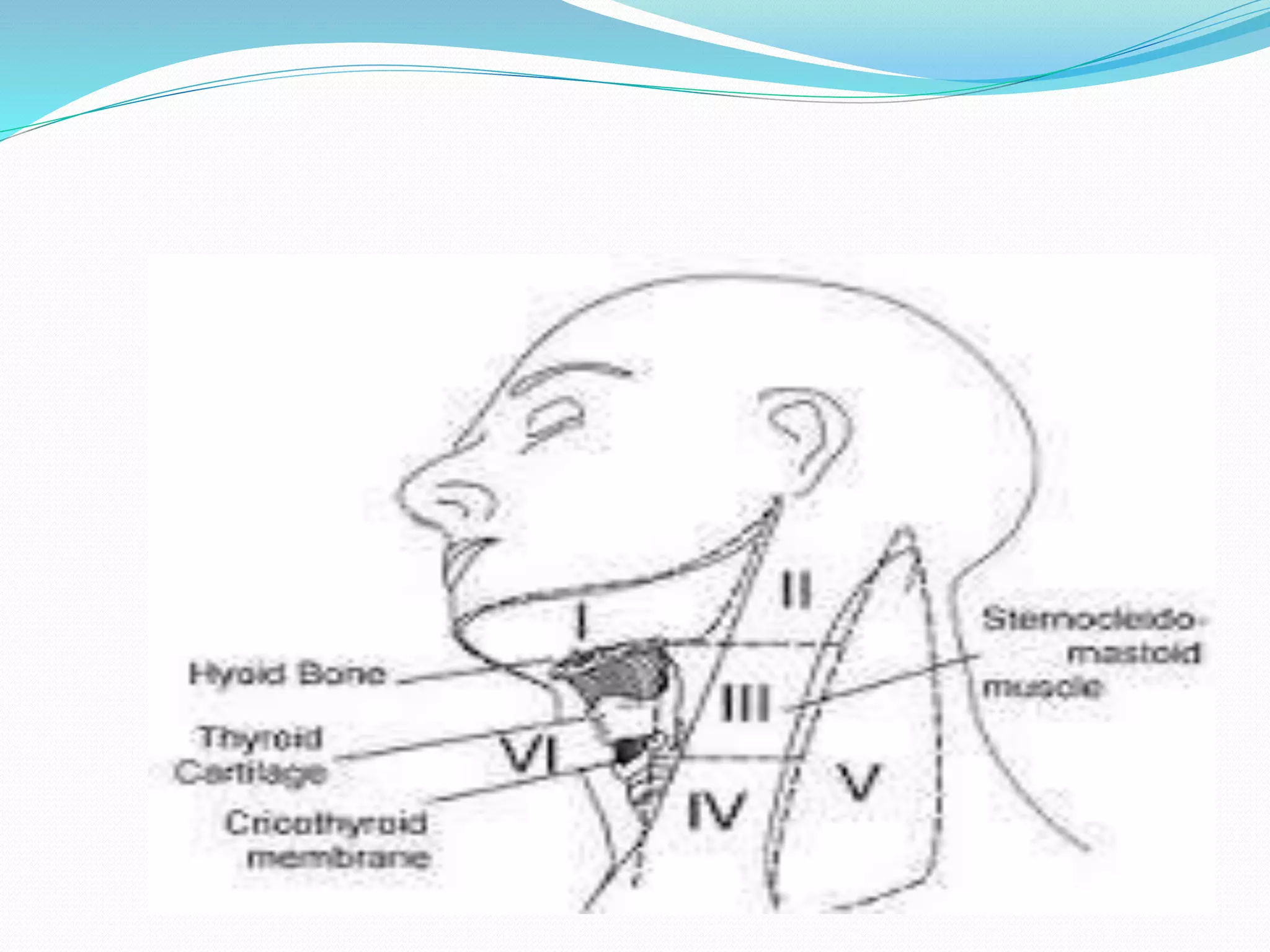 Examination of throat | PPTX