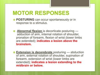 Examination of unconsious patient | PPTX