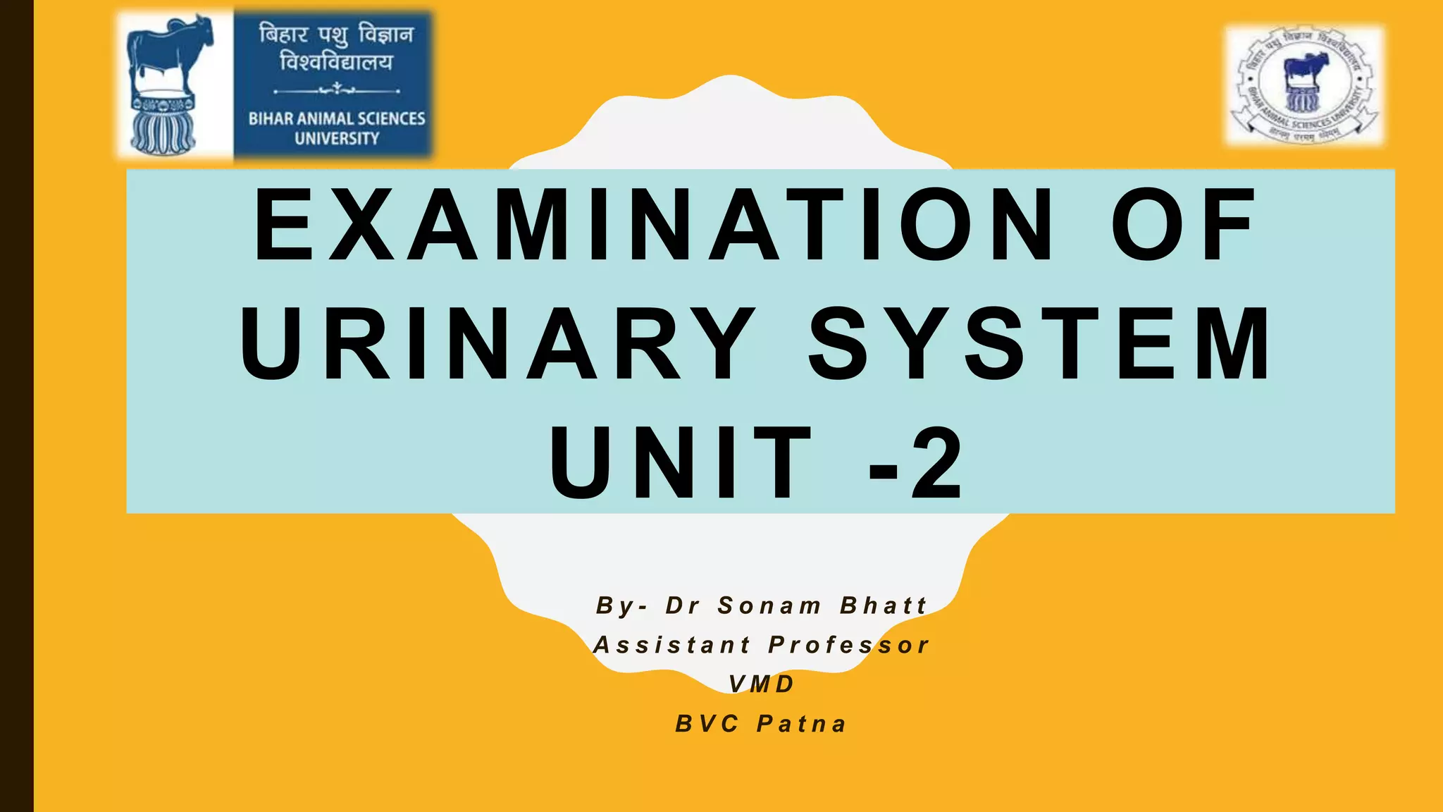 examination_of_urinary_system.pptx