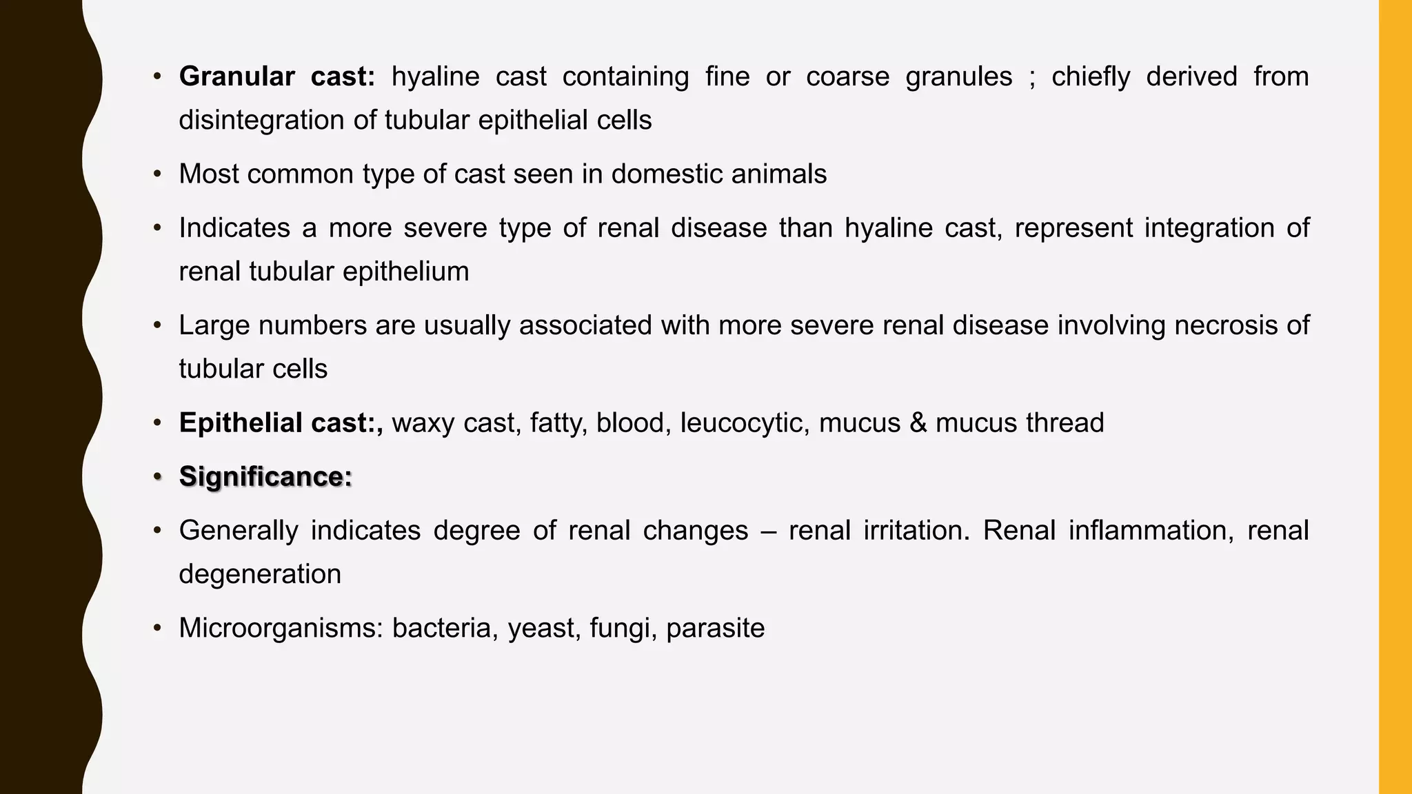 examination_of_urinary_system.pptx