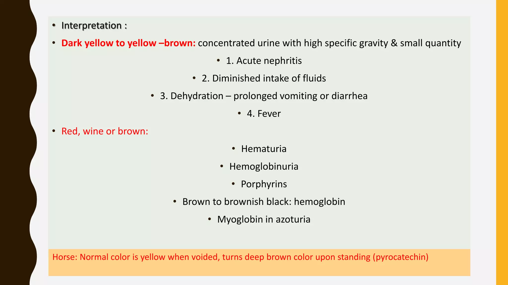 examination_of_urinary_system.pptx