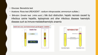 examination_of_urinary_system.pptx