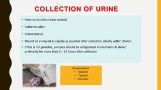 examination_of_urinary_system.pptx