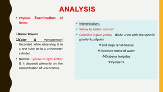 examination_of_urinary_system.pptx