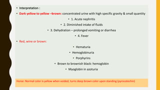 examination_of_urinary_system.pptx
