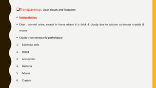 examination_of_urinary_system.pptx