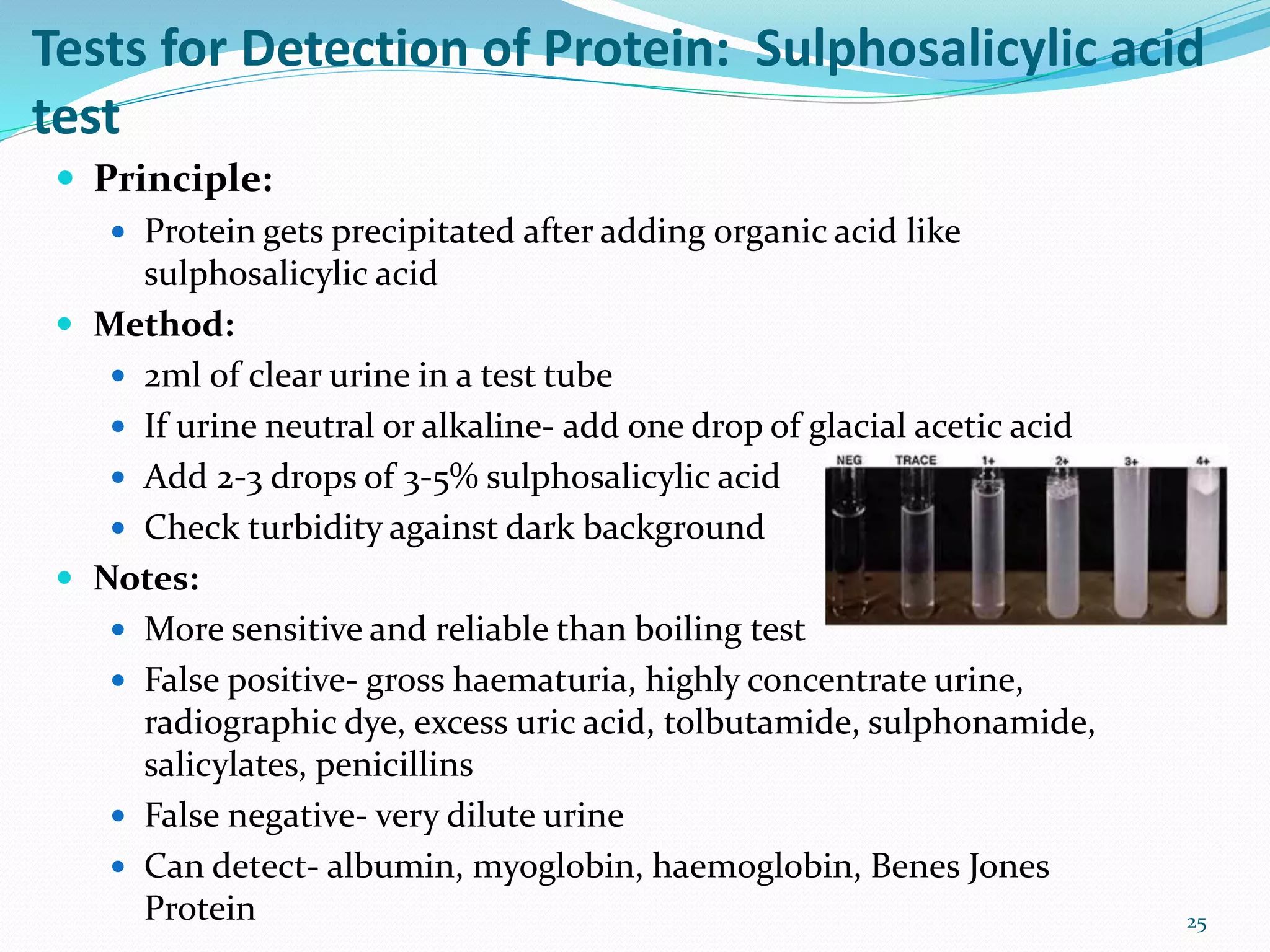 Examination of urine | PPTX