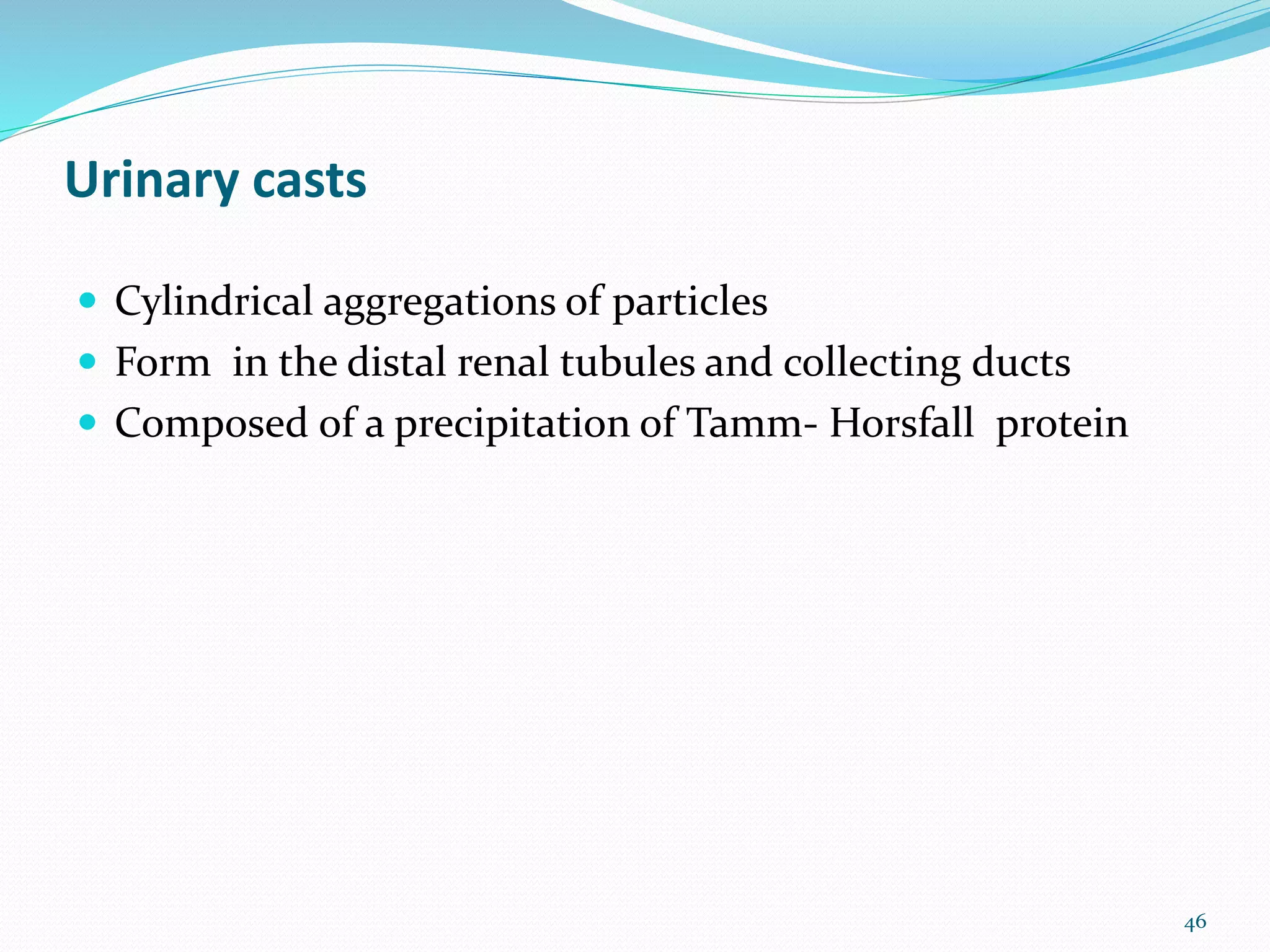 Examination of urine | PPTX