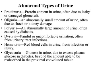 Examination of urine.pptx