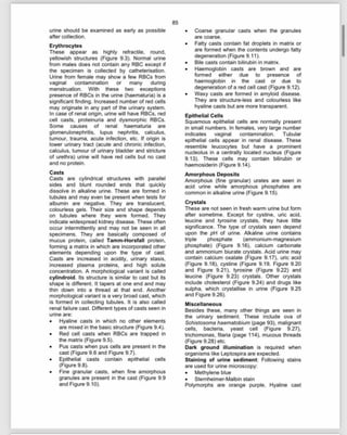 Examination of Urine (From Manual of Laboratory Medicine Book) .pdf