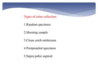 Examination of urine | PPTX