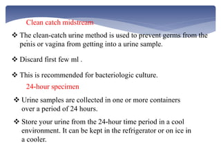 Examination of urine | PPTX
