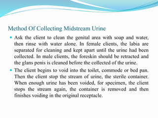 Urinalysis and test related to urine in fundamental of nursing ppt | PPTX
