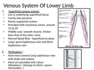 Examination Of Varicose Veins and DVT.pptx
