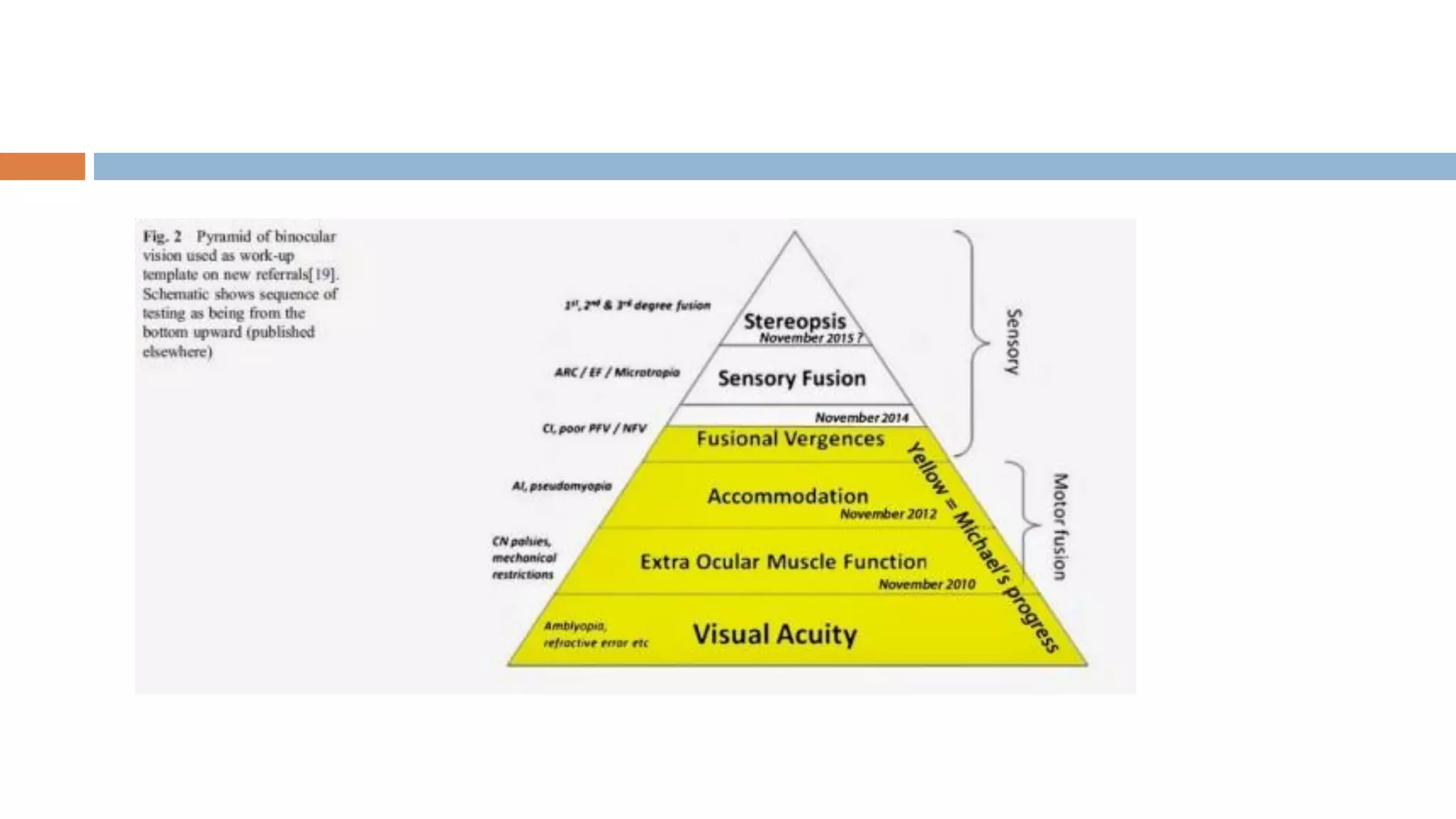 Examination protocol for binocular vision | PDF